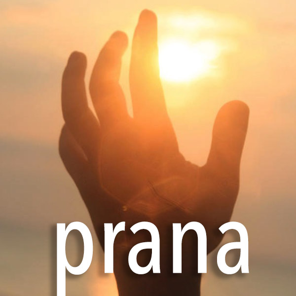 The Kundalini Code - A Thousand Suns Academy